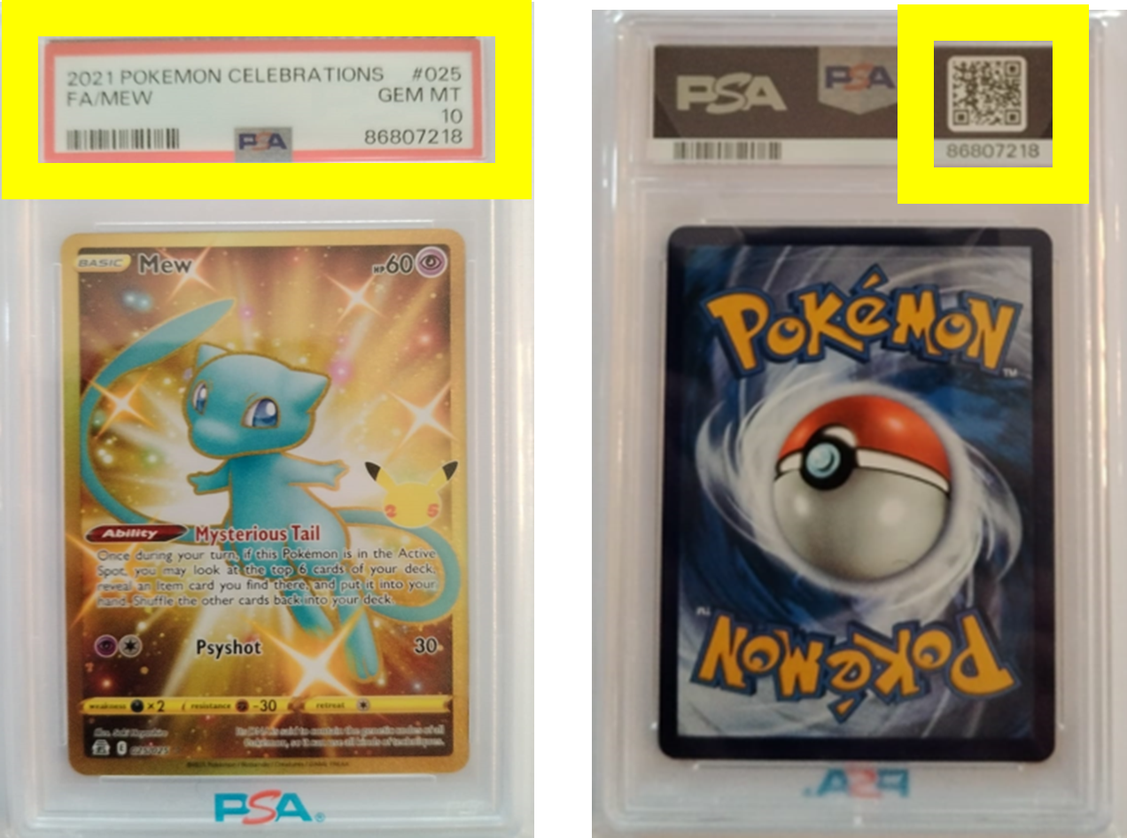 La gradation-certification - Missplaybros